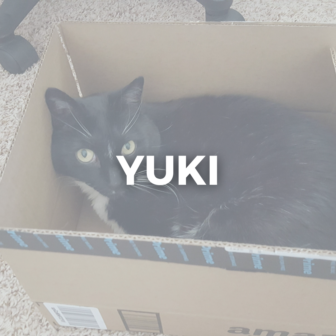 Meet Yuki – TopicWell