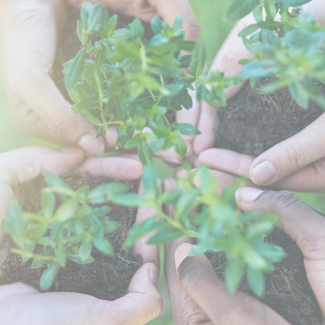 World Nature Conservation Day – TopicWell