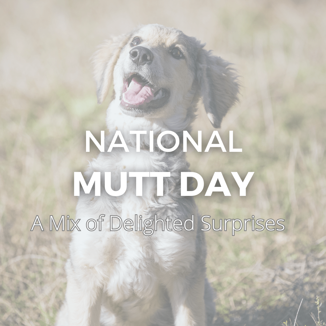 National Lasagna Day – TopicWell